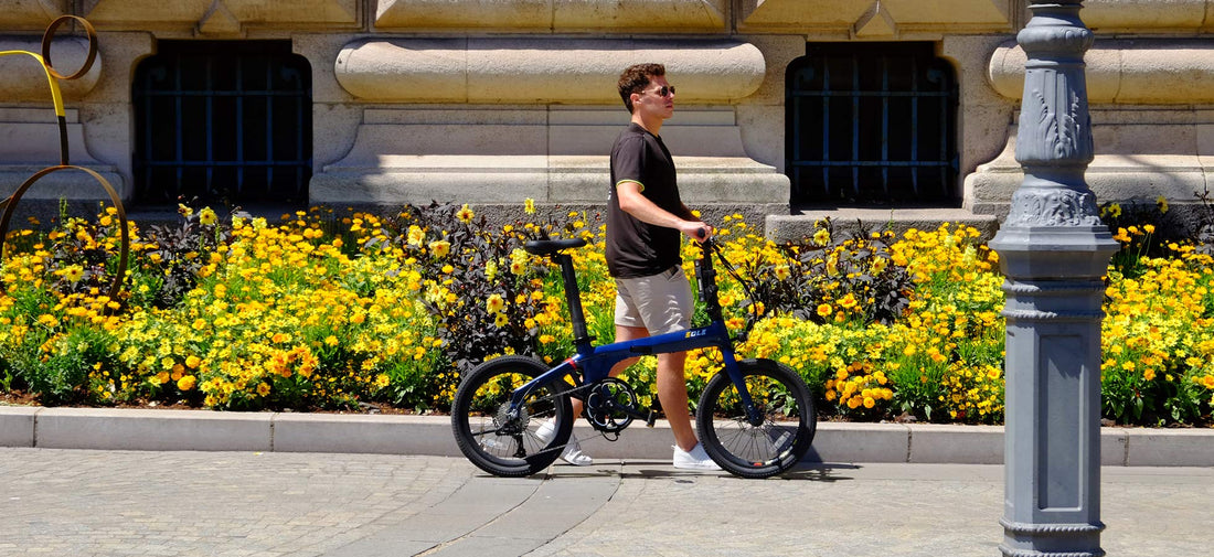 EOLE X 20 inch Folding E-Bike with Rear Suspension (Black, Grey, Blue ...